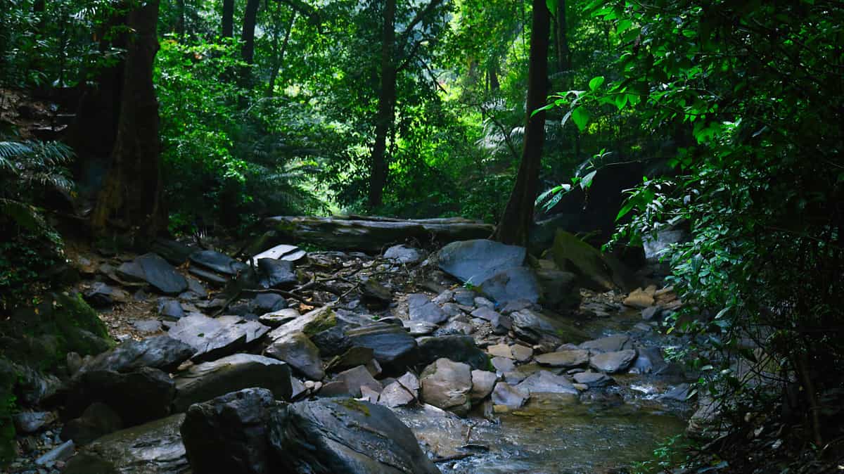 Agumbe Tourist places: A hidden gem of the western ghats