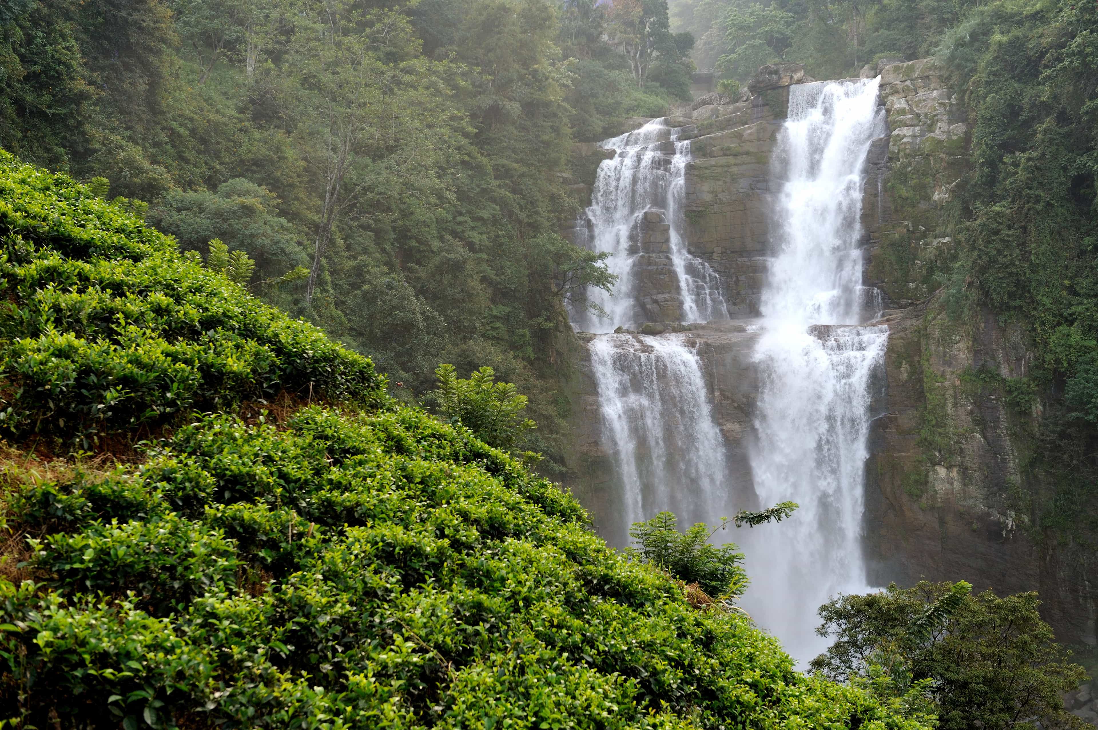 Athirappilly Waterfalls in Kerala | Vazhachal Waterfalls